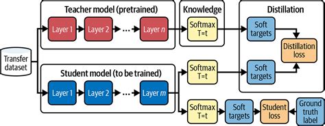 Mastering Machine Perception A Practical Guide To Contrastive Learning