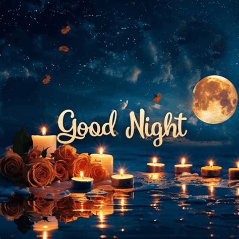 Good Night Meme Good Night Discover And Share S