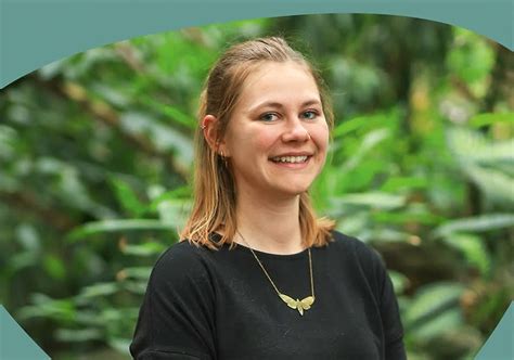 Wissenswertes über Insekten Dm De