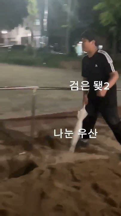 꽁꽁 얼어버린 모래에 쌈봉한 븅신 Youtube