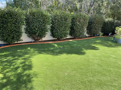 5 Ways To Drought Proof Your Backyard