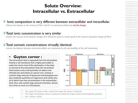 7 Renal Regulation Of Body Fluids Pdf