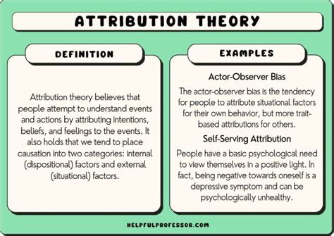 15 Attribution Theory Examples 2026
