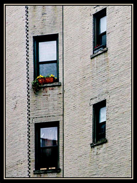 Susan Kozlowski Photography Rectangles