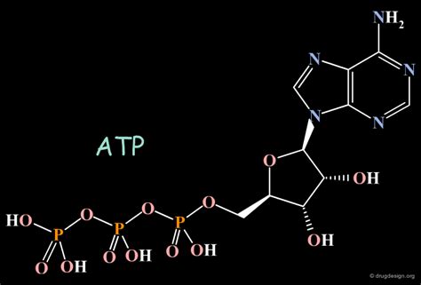 Introduction To Protein Ligand Binding Drug Design Org