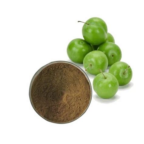 Plum Extract Powder At ₹ 1400kg Organic Amla Powder In New Delhi