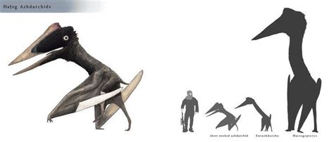 Azhdarchidae Alchetron The Free Social Encyclopedia