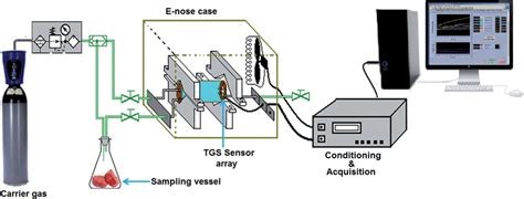 Electronic Nose System Developed For Analysis Of Meat Headspace Download Scientific Diagram