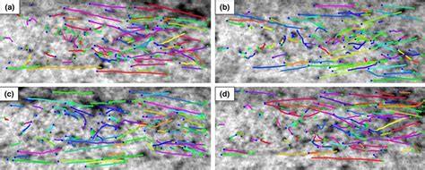 Snapshots Of Constructed Particle Trajectories Indicated With Download Scientific Diagram