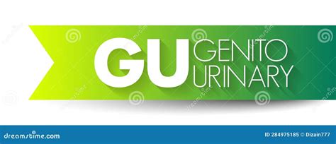 Gu Genitourinary Refers To The Urinary And Genital Organs Acronym