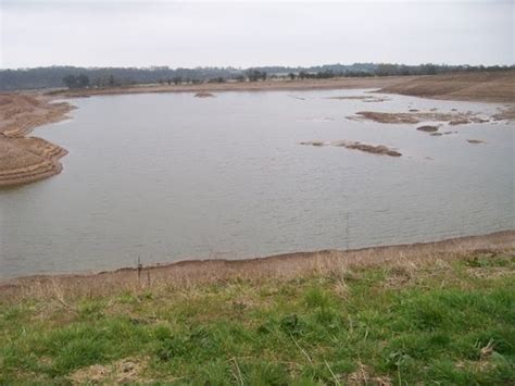 Local Birding For Local People Uttoxeter Quarry Jcb Lakes And Dimmingsdale