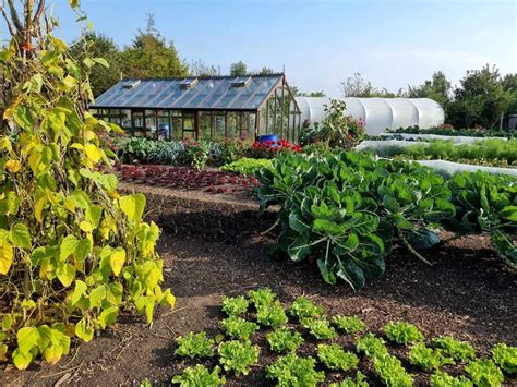 Carly Dutton Edwards On Linkedin Videographer Freelance Somerset