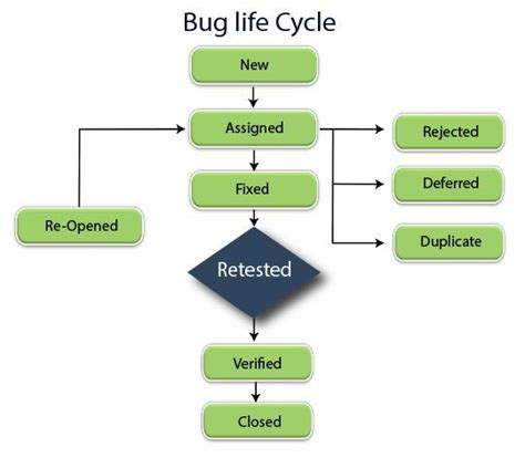Bug Life Cycle In Software Testing