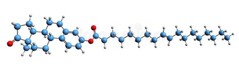 3d Image Of Estrone 3 Oleate Skeletal Formula Stock Illustration Illustration Of Absorption