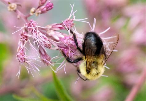 The Ac Is On Buzzin Cuzzins