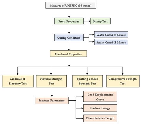 Flow Chart Diagram For The Testing Process Conducted In This Study Download Scientific Diagram