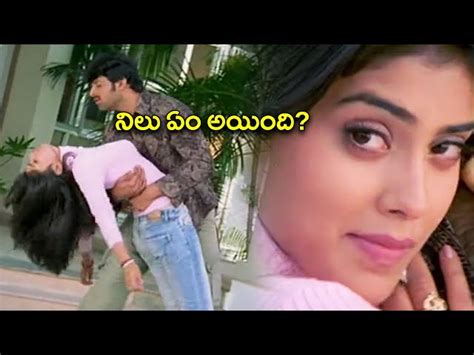 Chatrapathi Telugu Movie Hot