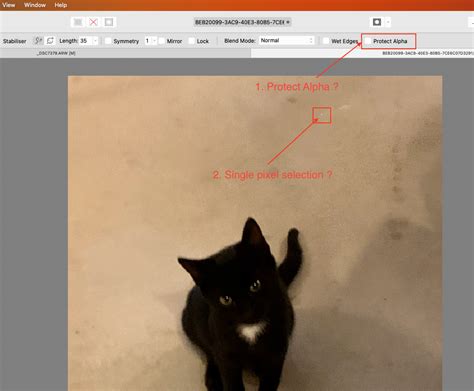 V203 Some Tools Dont Work Proper Or Not At All V2 Bugs Found On