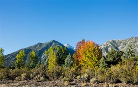 Carson Valley Nevada Carson Valley Autumn