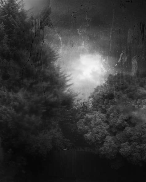 Extraordinary Experiences With Morganna Magee — Kinship