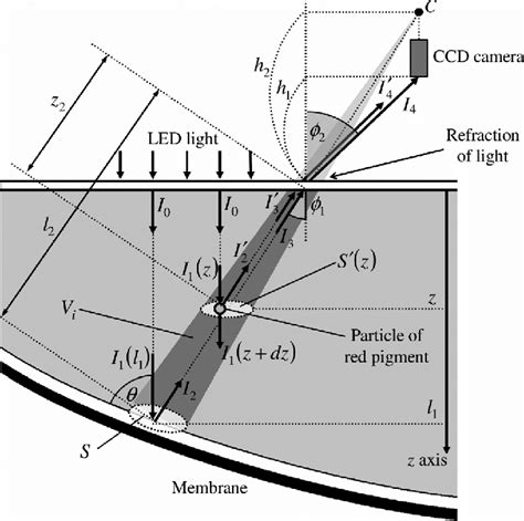 Figure 1 From Vision Based Tactile Sensing And Shape Estimation Using A Fluid Type Touchpad