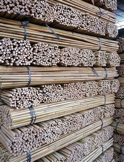 Garden Bamboo Canes Cane Trellis Pea Bean Netting Bamboo Stake Plant