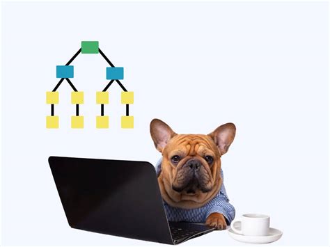 Opportunity Solution Tree Definition Tips And Overview In 2024