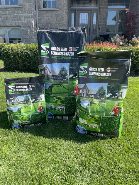 Premium Mixture Grass Seed 10 Lb Lfx Supply Centre