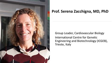 Center For Molecular Cardiology Grand Rounds S Zacchigna Zhh