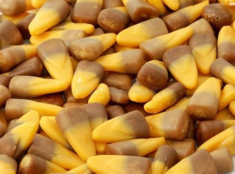 Yellow Candy Corn Stock Image Image Of Halloween Brown 11184997
