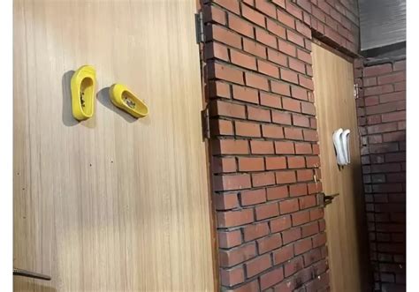 1200630webp1718149243