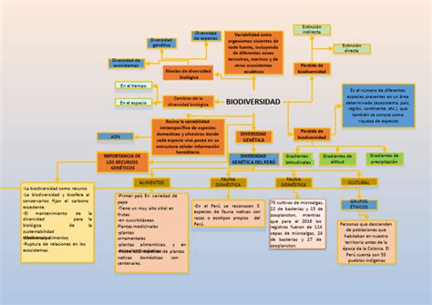 Mapa Conceptual De La Biodiversidad 6 Pdf Biodiversidad Ecosistema