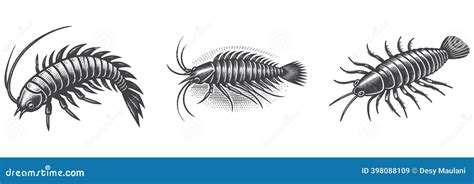 Silverfish Vector Cartoon Character Mascot Design