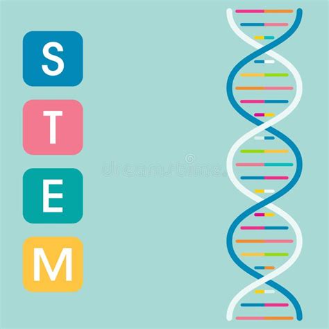 Stem Science Technology Engineering And Mathematics Vector Illustration Background Graphic Stock