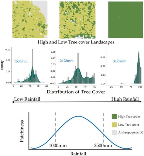 A Conceptual Diagram Of The Relationship Between Landscape Patchiness