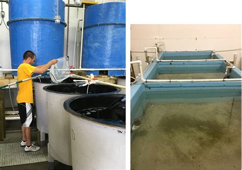 Technological Developments Since The Deepwater Horizon Oil Spill