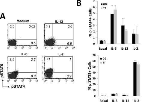 Interleukin 6 Induces Stat4 Phosphorylation A Representative Flow
