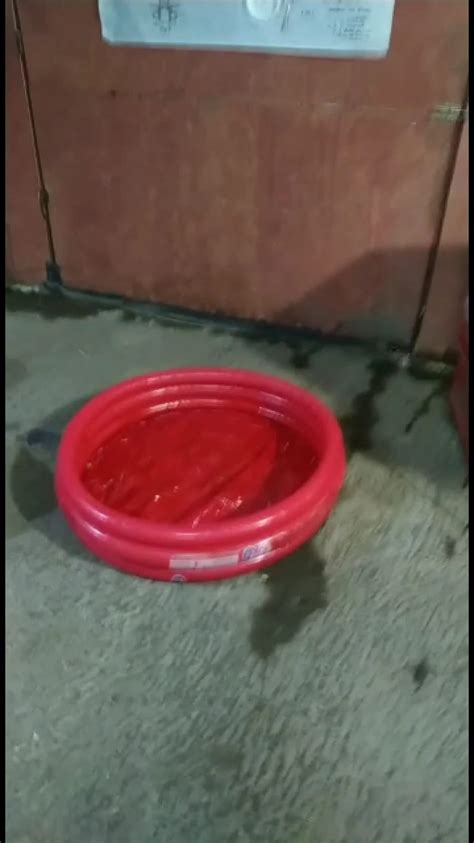 Pool Detection Object Detection Dataset By Rtod