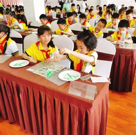 山东广播电视台文旅频道《阳光少年行》国学研学营来了 知乎