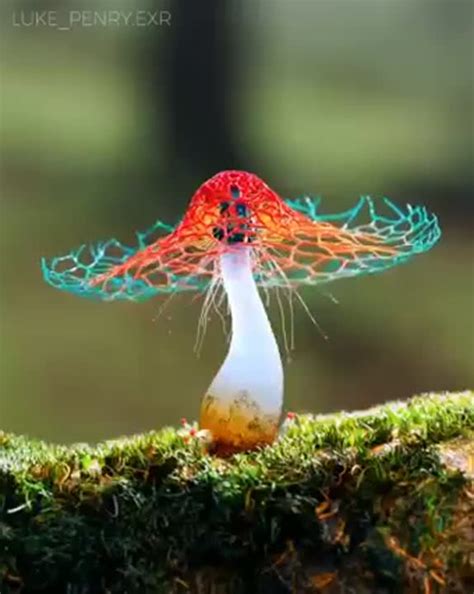 Arun Kumar Gupta Posted On Linkedin