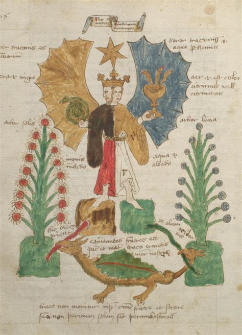 Bilder Alchemistischer Hermaphroditen Jahrhundert M Nnlich Weiblich Zwischen