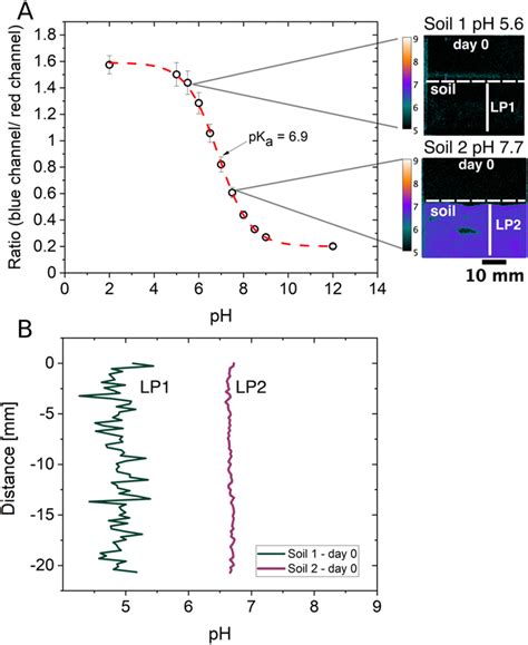 A Ph Calibration Curve Showing The Pka Of The Respective Ph Optode Download Scientific