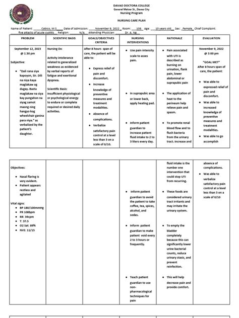 Ncp Form 2 Pdf Urinary Tract Infection Clinical Medicine