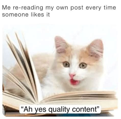 Meme Me After The First Day Of Being Back Devrant