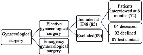 Participants Flow Chart Download Scientific Diagram