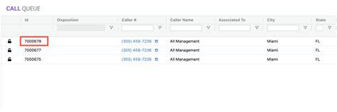 Call Queue Processing Kipu Crm
