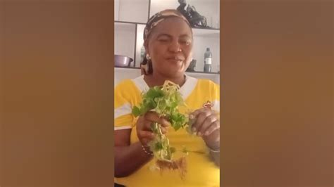 Health Benefits Of Shiny Bush Ewe Renren Or Ewe Rinrin Youtube