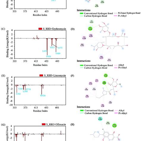 Residue Based Interaction Sites Analysis The Binding Free Energy In Download Scientific