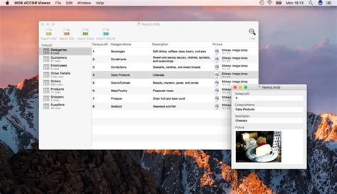 mdb accdb viewer 2 3 1 for macos free download filecr