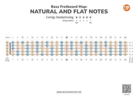 5 String Bass Guitar Pdf Fretboard Chart With All Notes Musician